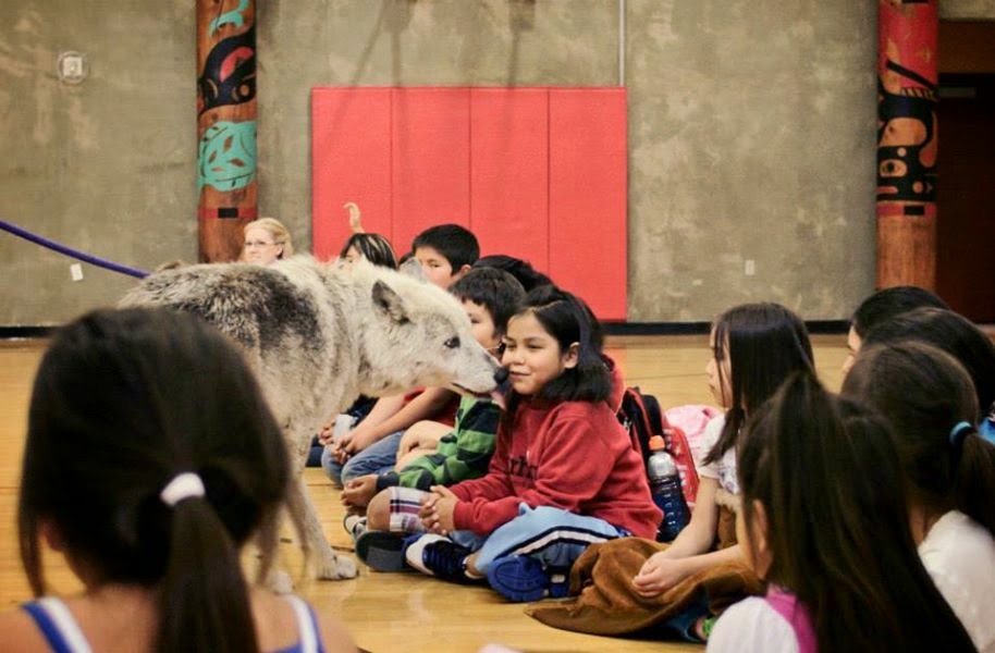 White Wolf : Heartwarming Photos Of Children Playing With Wolves