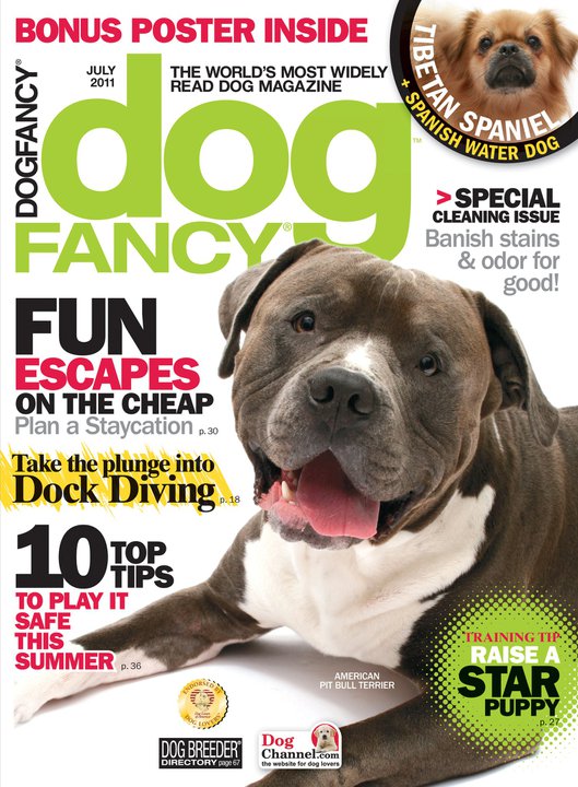 The Truth About Pit Bulls: Dog Fancy Magazine
