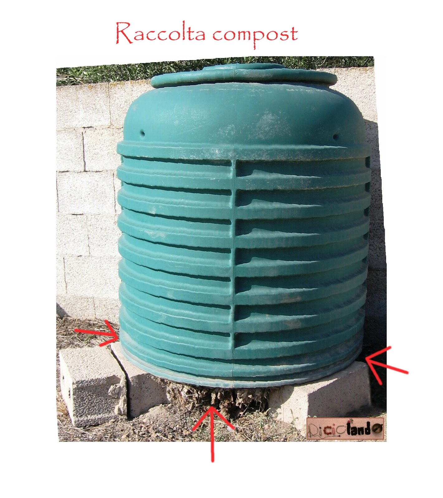 Compostiera + Vaso piante grasse tutorial DIY fai da te