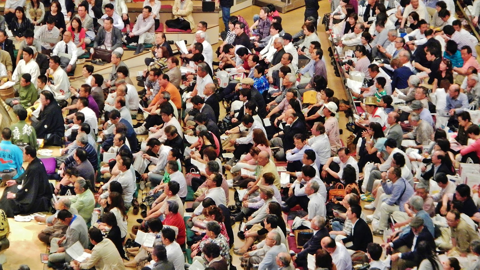 Gone Seoul Searching: Gone Seoul Searching in Japan: Sumo Wrestling at ...