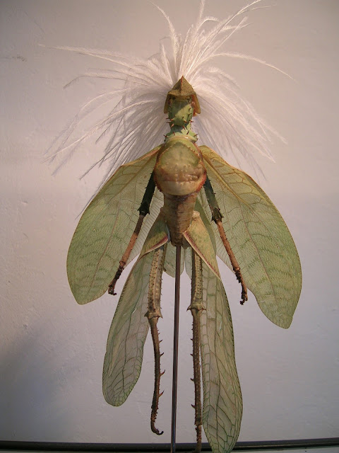 Propnomicon: Preserved Fae