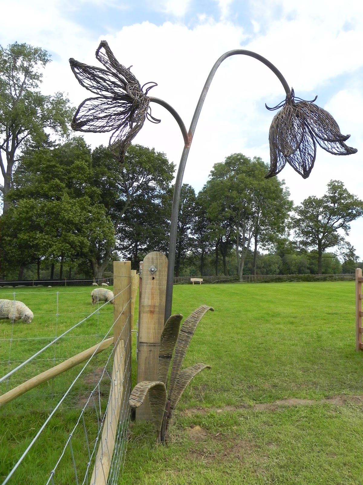 Tom Hare, Willow man: UK Native Seed Hub at Wakehurst Place.