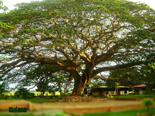 Bacnotan, My Hometown - The Letters In November