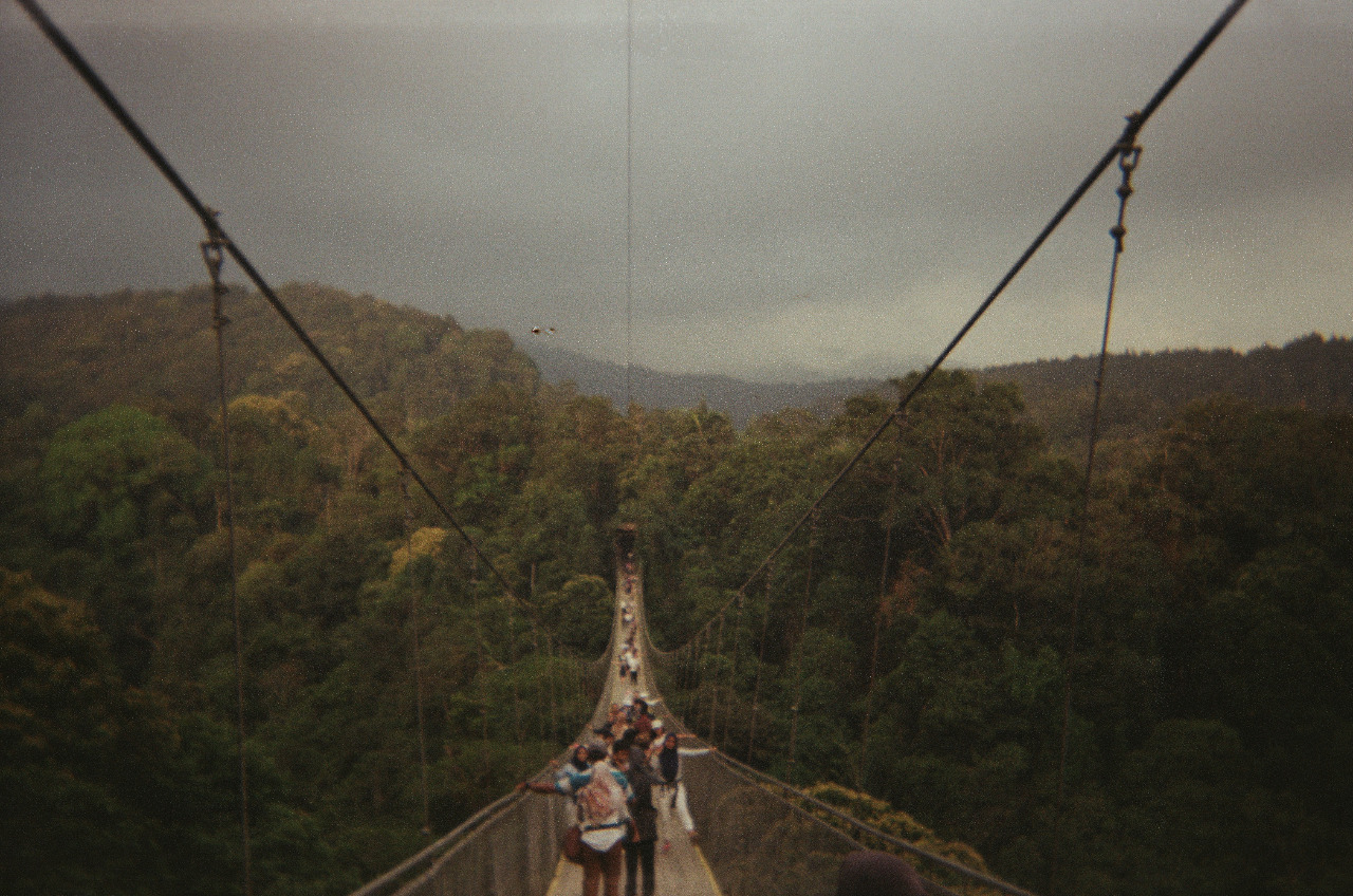 REVIEW CAMERA POCKET ANALOG II NOVACAM 1 PAIRED WITH KODAK COLOUR PLUS