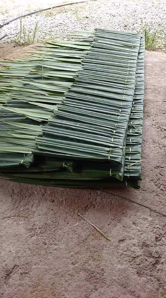 Nostalgia Atap Nipah Atap Rumbia