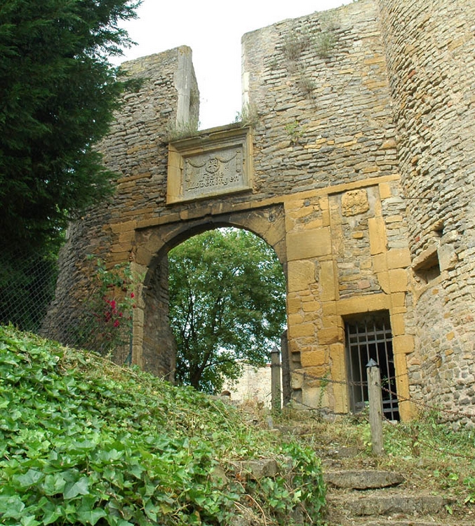 PATRIMOINE DE LORRAINE: LOUVIGNY (57) - Le château-fort