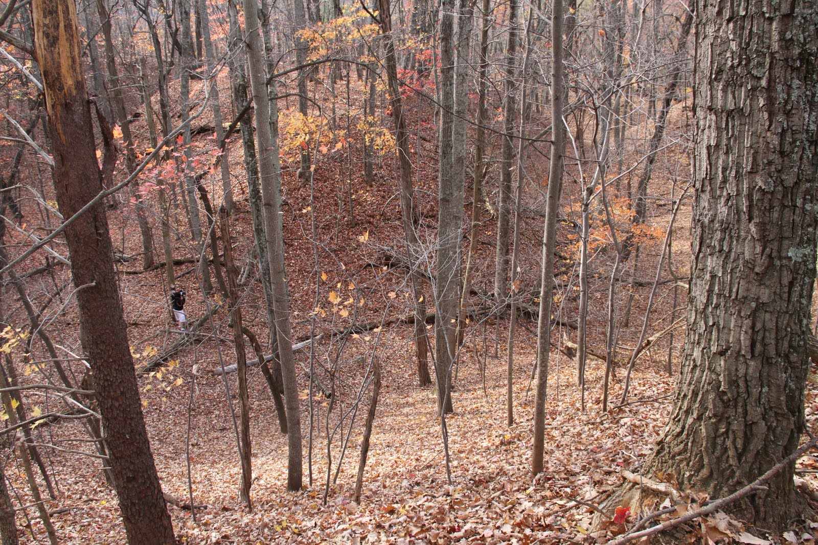 John Carlin's Virginia: Of Giant Holes and Iron Mines