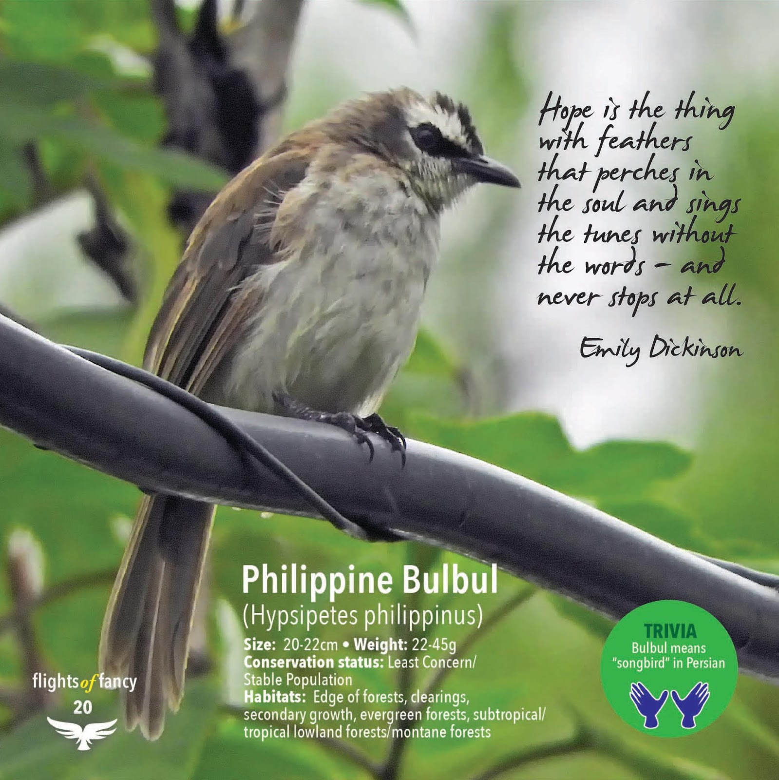 Lagalog Philippines Travel Photography Blog: Flights of Fancy eBook ...