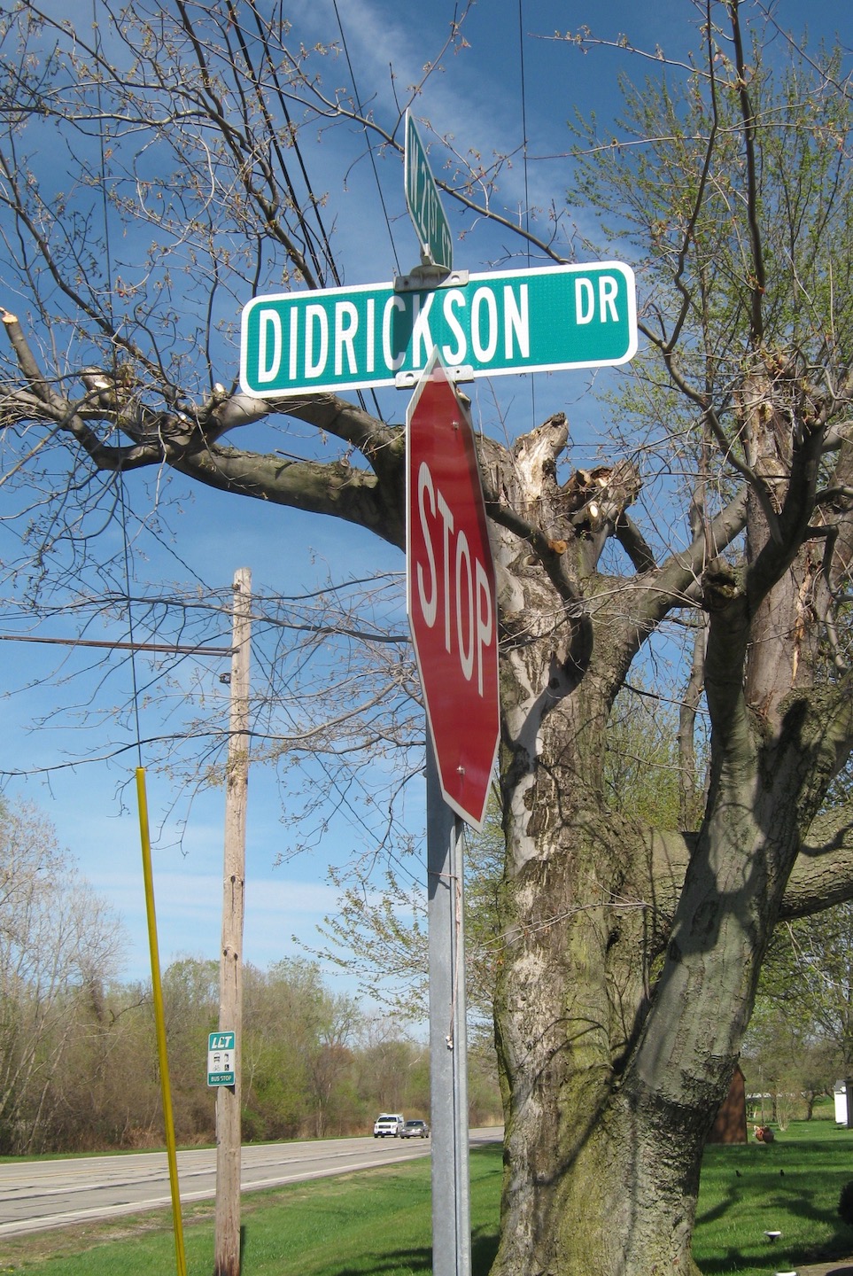 Brady's Bunch of Lorain County Nostalgia: “Babe’ Didrickson Zaharias ...