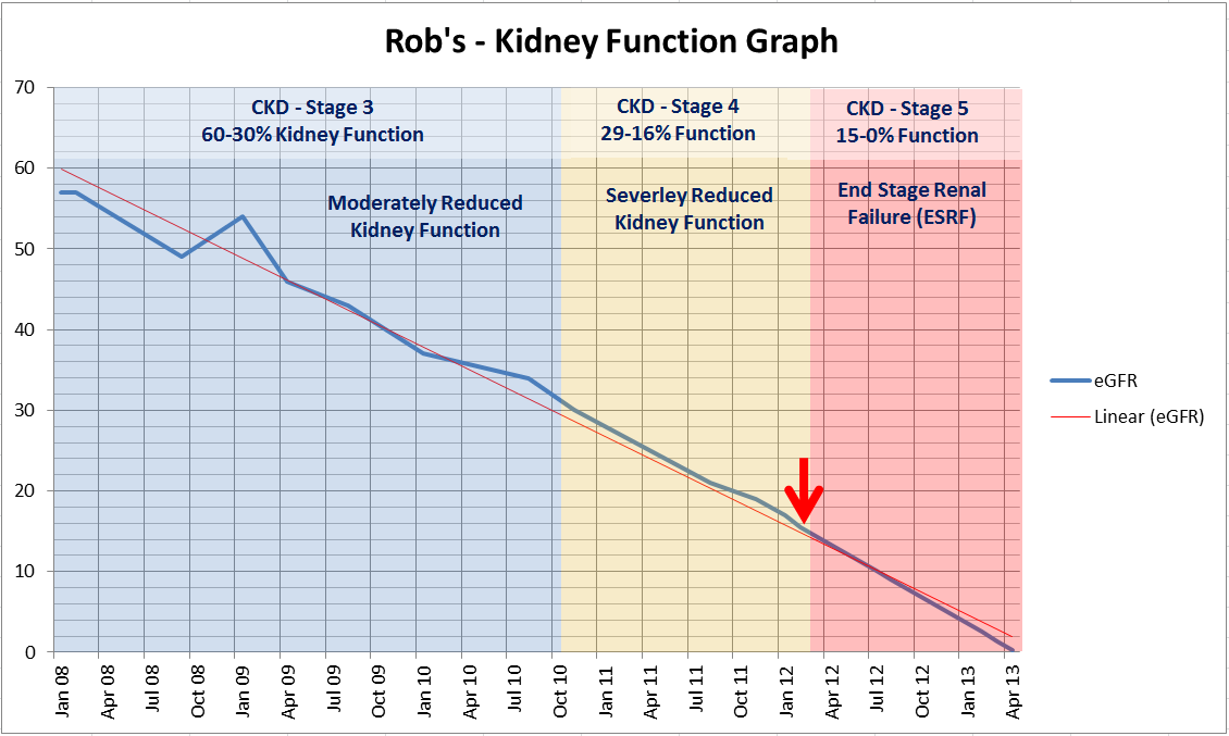 Kidney Blog: Kidney Function Graph