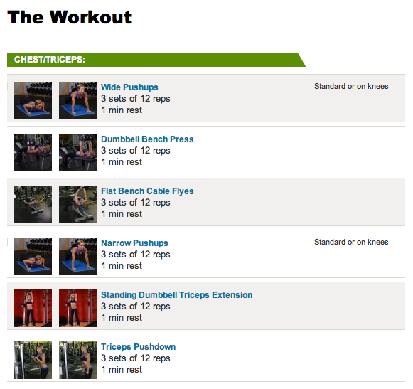 My Current Workout Routine (The Live Fit Program) Overview & Phase 1 ...