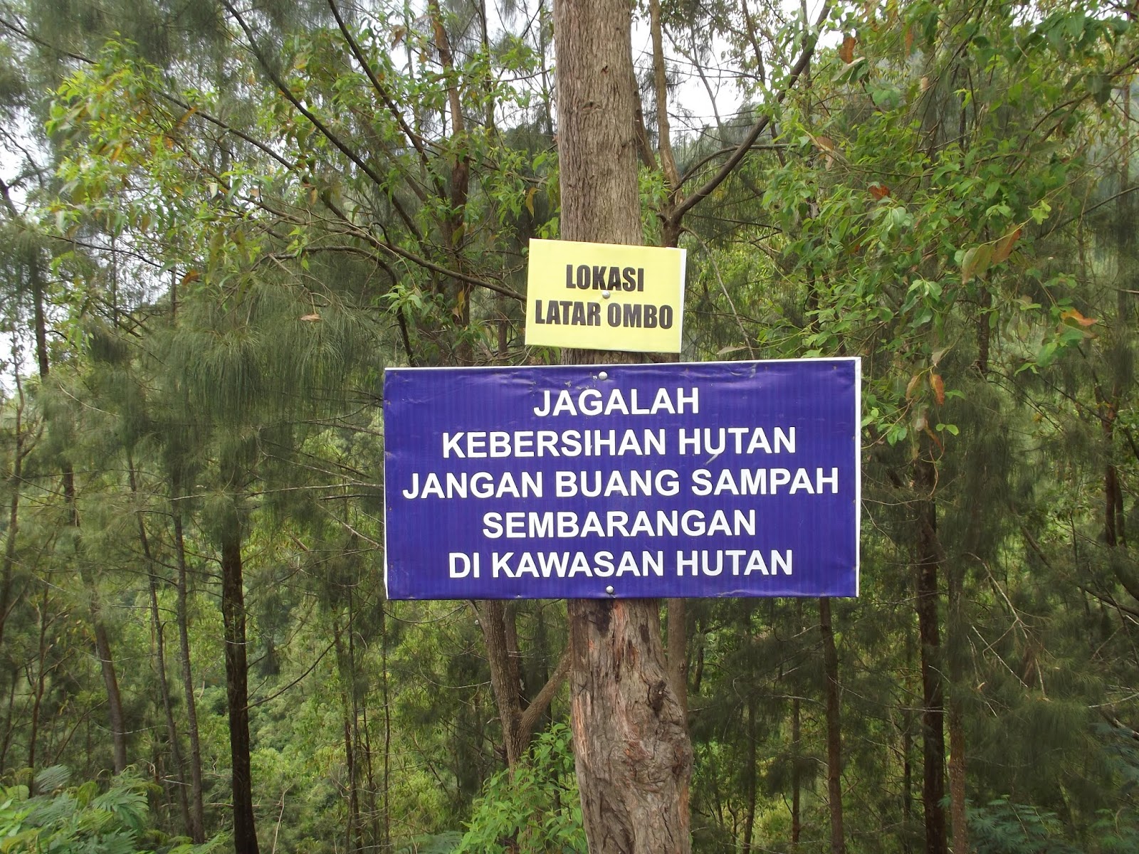 Gunung Panderman Bukit dengan ketinggian 2000MDPL - NOB TRAVELLER