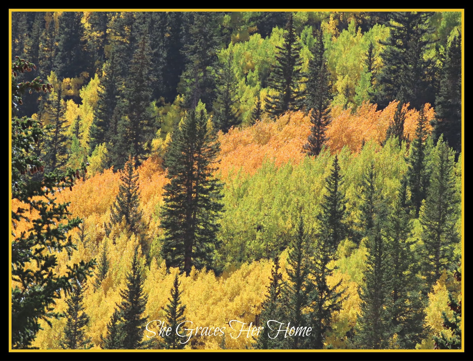 She Graces Her Home In God's Beauty: Our Glorious Fall Colors