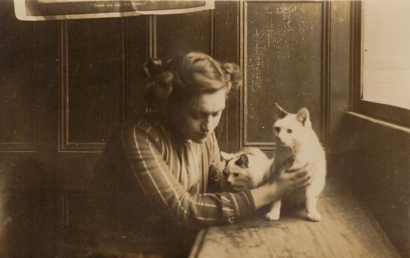 50 Lovely Vintage Photos Capture People With Their Cats in the Early ...