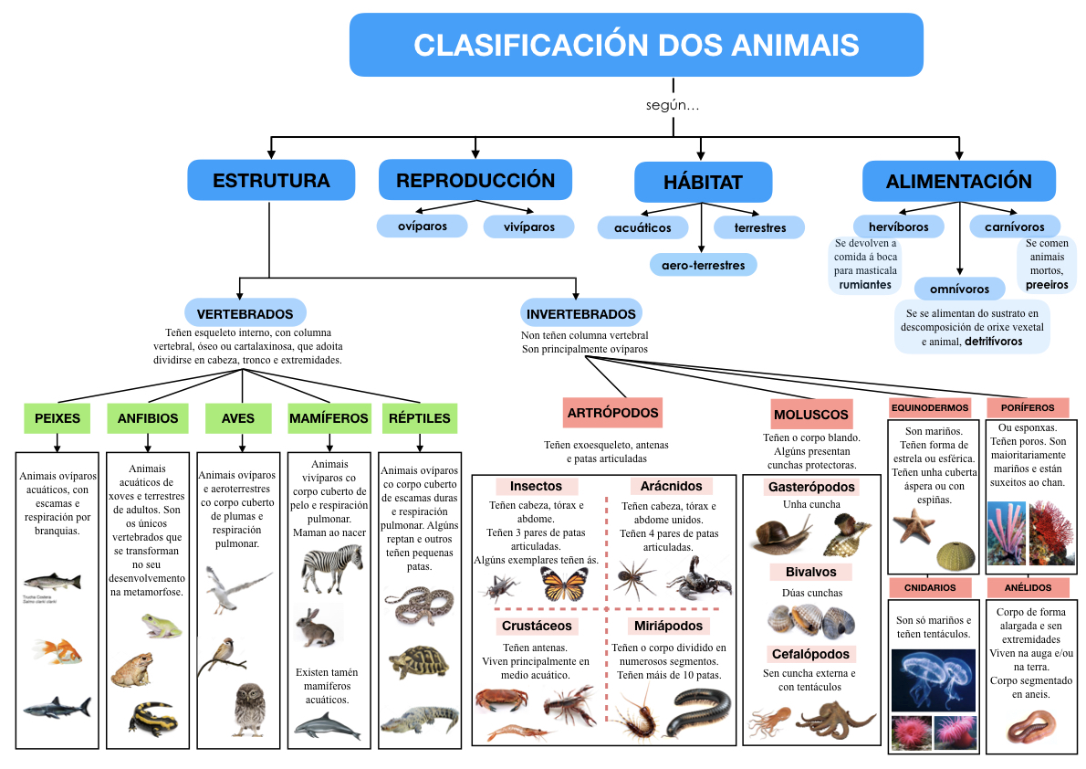 Terceiro Outes: Clasificación animal