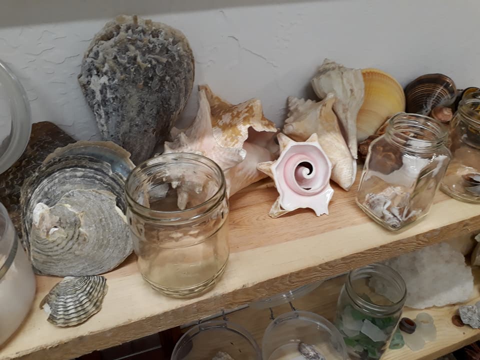 SeaShell Museum: January 2020