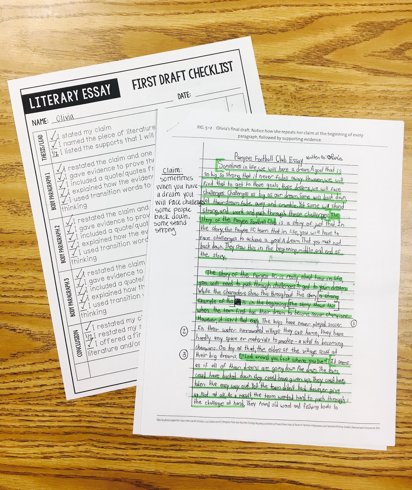 Literary Essay - Teaching to the Test-Taker