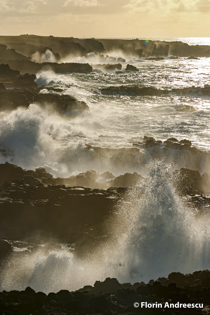 Florin Andreescu: Rapa Nui = Insula Pastelui