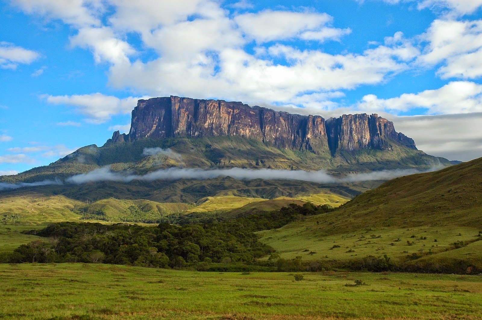 Azul Fortaleza: Tepuy por bandera