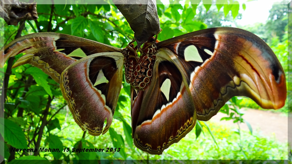 In my leisure: September 2013