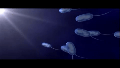 Prokaryotic-Bacteria-Cell-Parts| Notes by UK Sir | Cell Bio- 5 - Bio ...