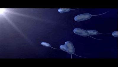 Prokaryotic-Bacteria-Cell-Parts| Notes by UK Sir | Cell Bio- 5 - Bio ...