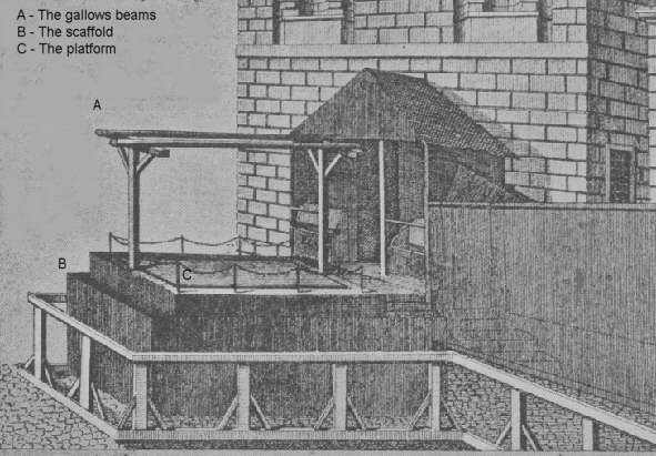Barts Pathology Museum: Specimen C.92 - From the Archives