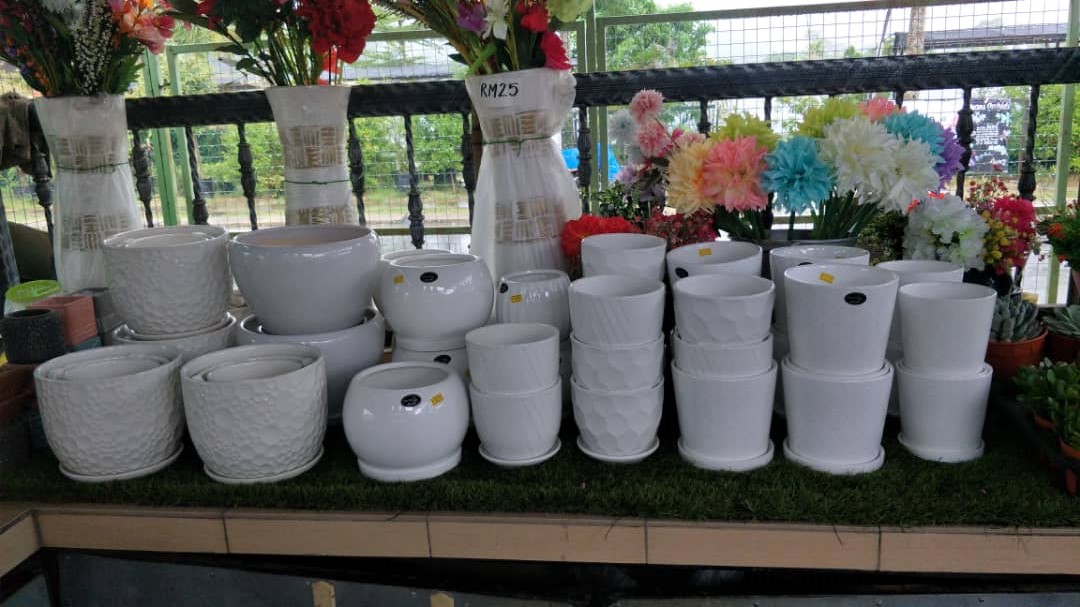 BUMI HIJAU NURSERY (002279488-D): Pasu viral & pokok indoor