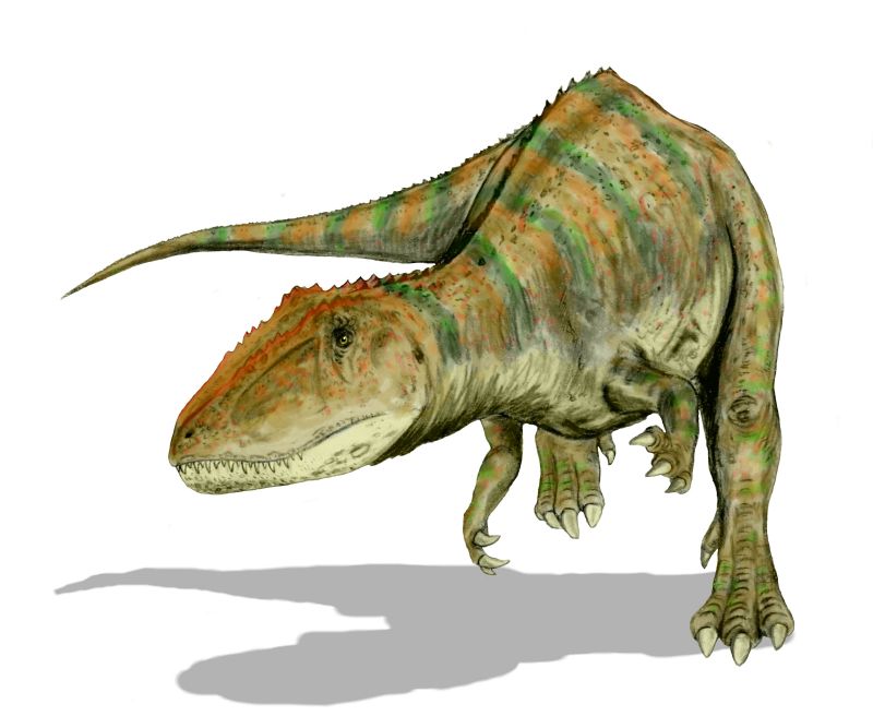 Palaeocritti Blog: Carcharodontosaurus saharicus