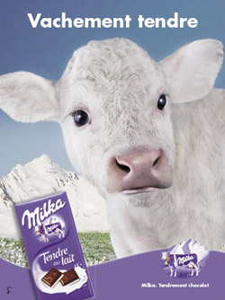 VACHES SACREES: MILKA