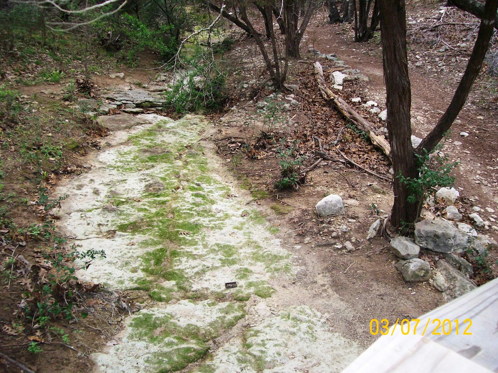 Rockhounding Around: The Austin Chalk