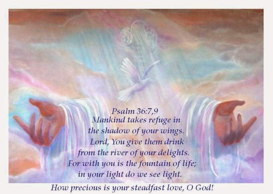 MIGHTY WARRIOR BLOG Psalm 36 Word And Video mighty-warrior-blog-psalm-36-word-and-video