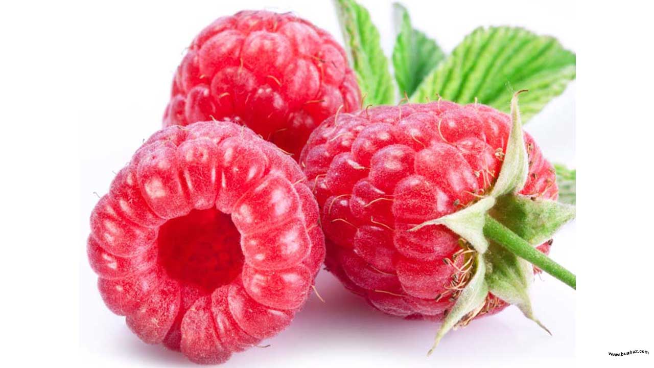 Buah Frambos - Perumperindo.co.id