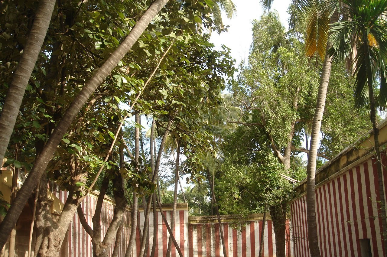 Tamilnadu Tourism: Thiruvilanji Kumarar Temple, Ilanji – The Temple