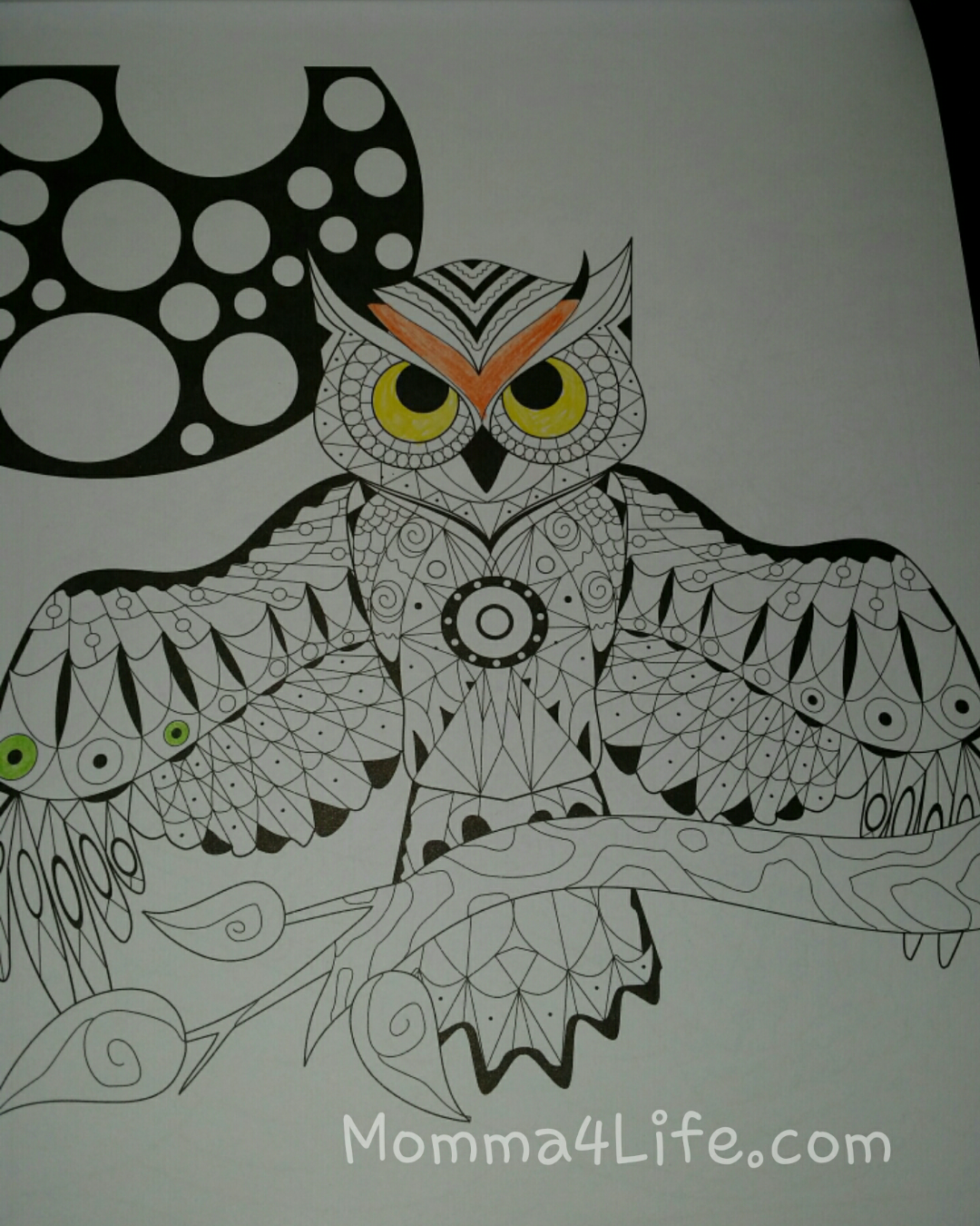 Complete Adult Coloring Book Kit by Life in Coloring Review - Momma4Life