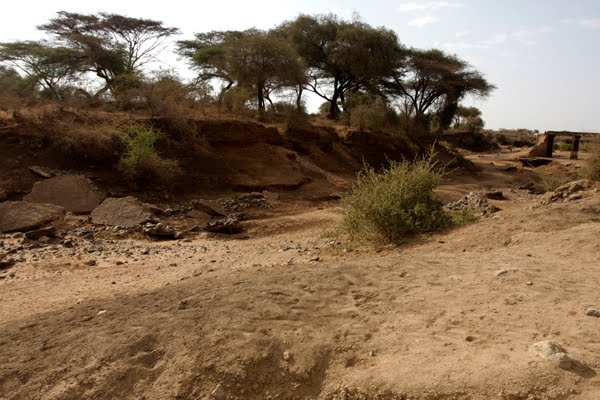 Conflict Management-the Path to Peace: Vision 2030 fuel conflict in ...