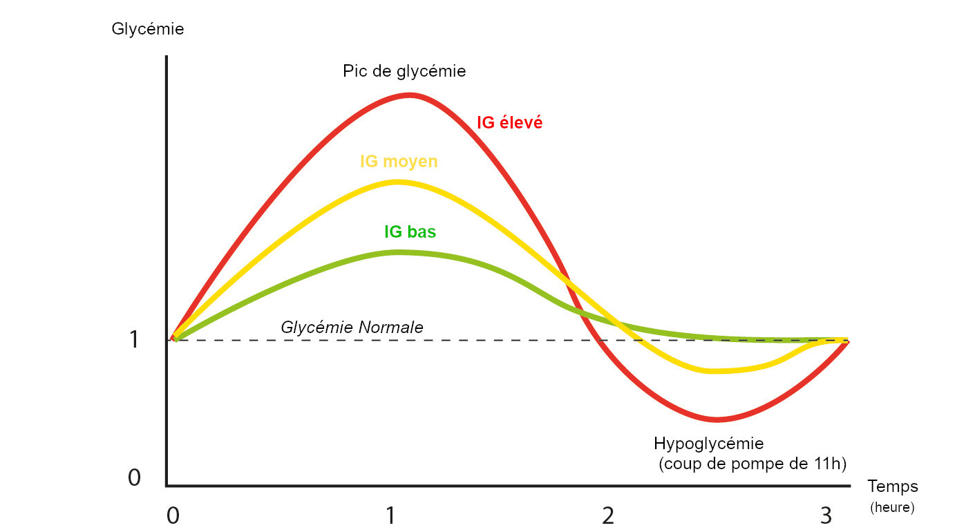 ④ QU'EST-CE QUI DÉTERMINE L'IG D'UN ALIMENT