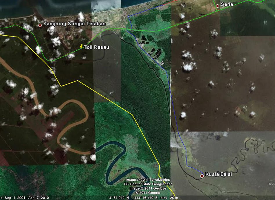 Birdwatching In Miri, Sarawak: Birding in Rasau