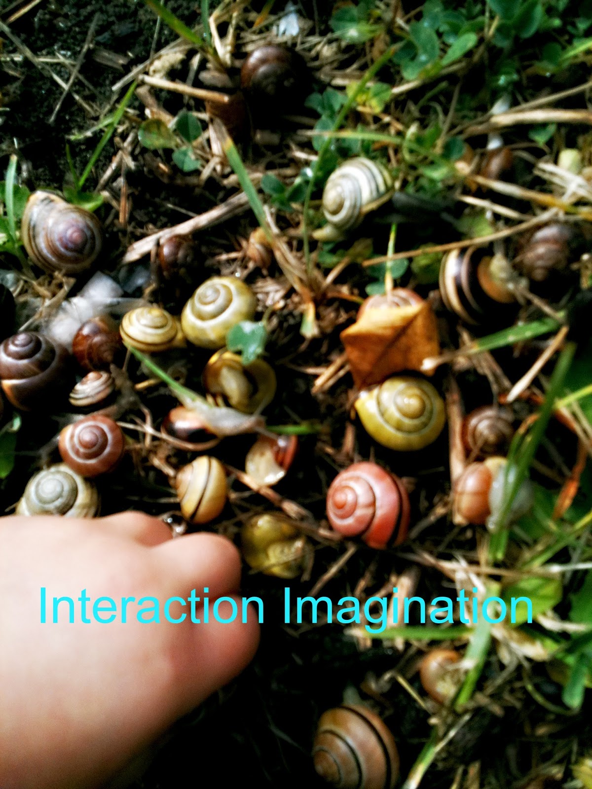 Interaction Imagination: Snail Party!