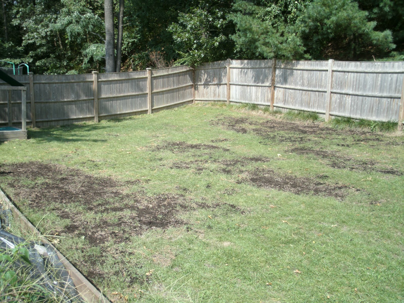 Last Labors of Summer