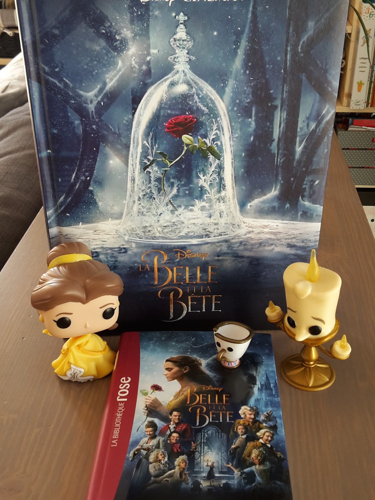 Sous le feuillage: La Belle et la Bête - l'album et le roman du film ...