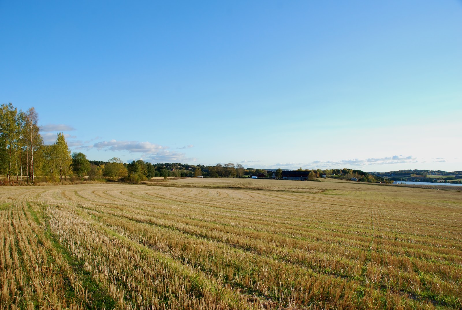 Saritas blogg: 09.10 Fellestrening på jorde