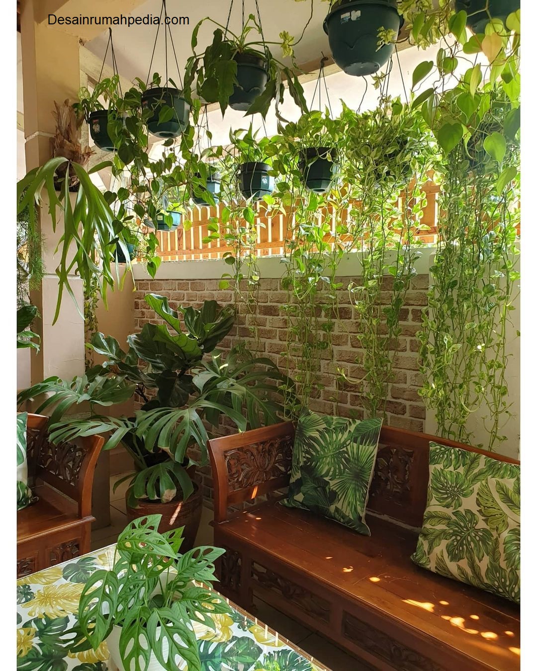 7 Inspirasi Menata Tanaman Gantung di Teras yang Rapi dan Memesona ...