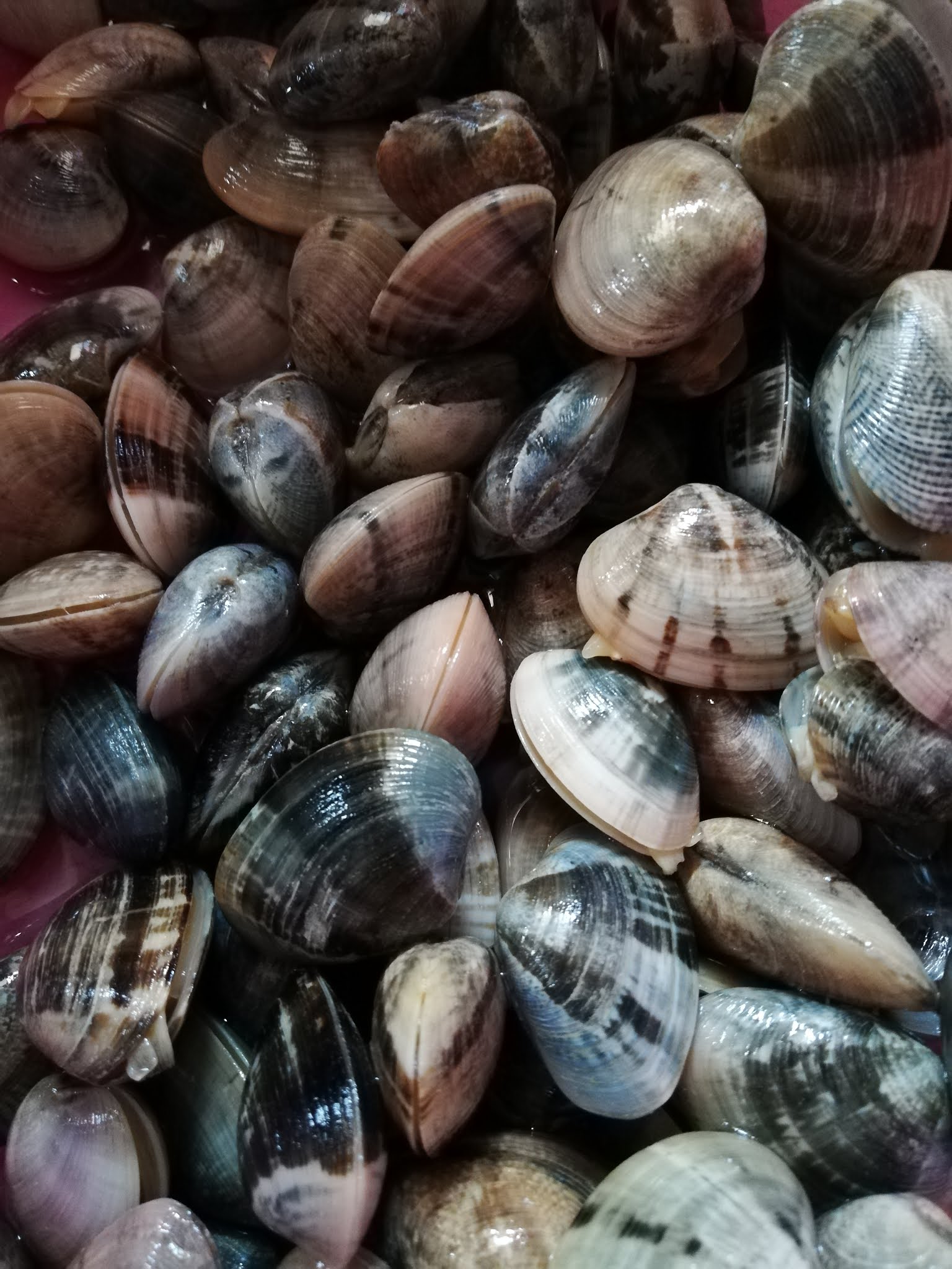 Resepi Kepah Goreng Berlada Serai.... ~ SURIA AMANDA