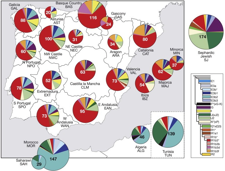 COSMOECOLOGÍA: Mapa Genético de España