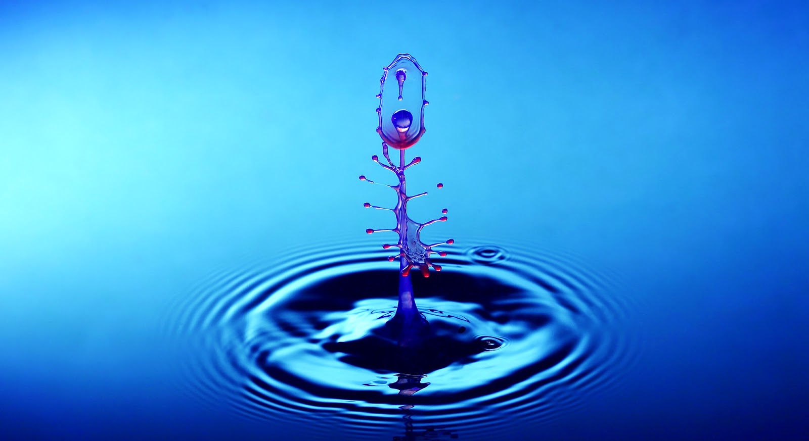 Amazing Images: Amazing wallpaper of water drop splash