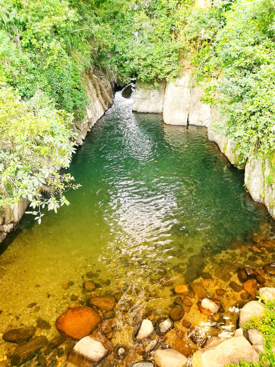 Educational and Entertainment