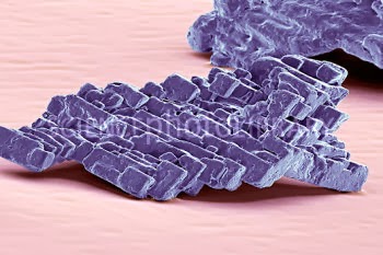 8 things are so cool under microscope | ultra facts