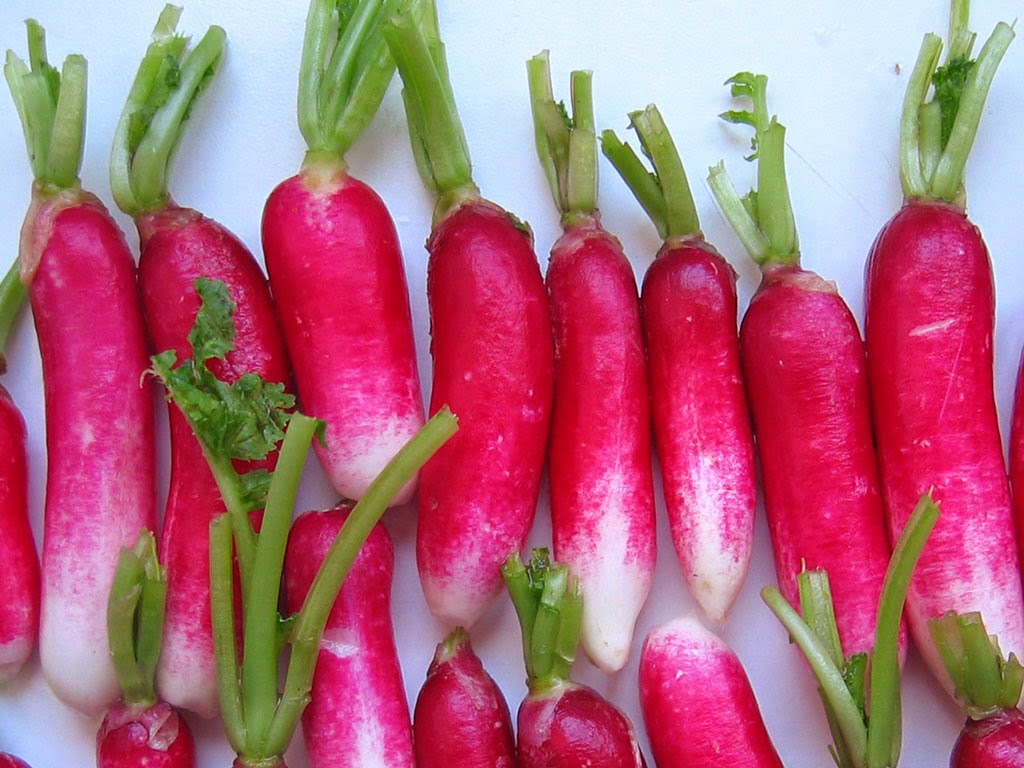 maviamoa: Les vertus du radis