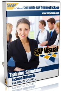 SAP eBooks: SAP Training Simulators - Visual (Includes All Modules)